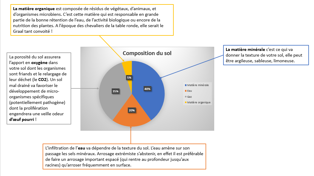 Comprendre son sol | Demain la Terre