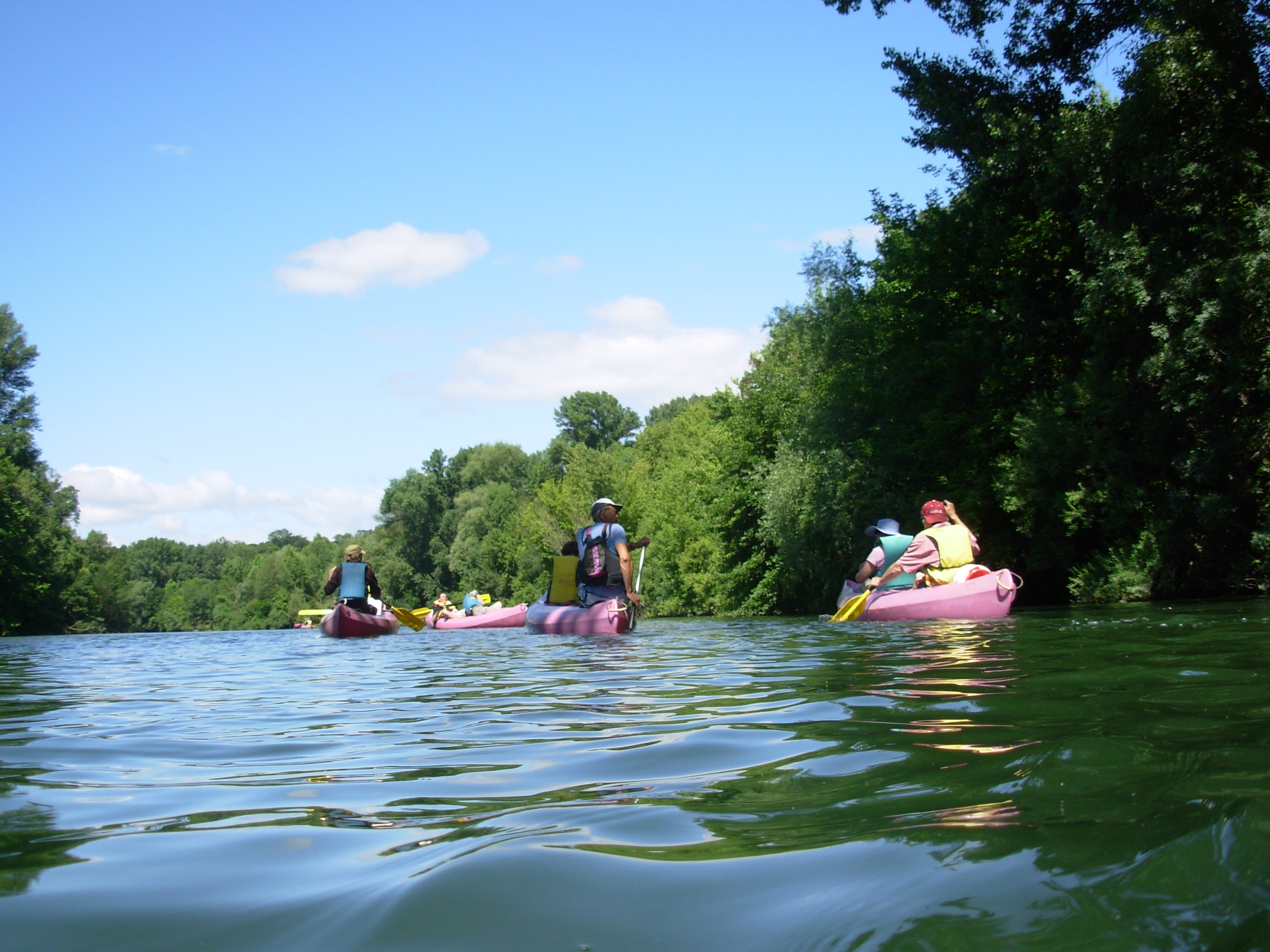 La nature en canoë | Demain la Terre